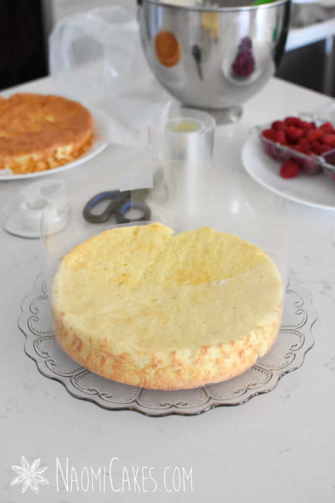 Raspberry Sponge Cake [Recipe] - NaomiCakes