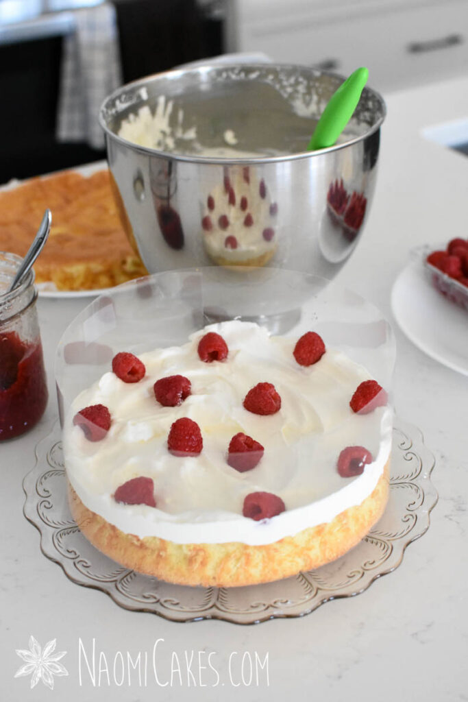 Raspberry Sponge Cake [Recipe] - NaomiCakes