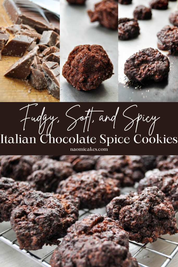 Italian Chocolate Spice Cookies [Recipe] - NaomiCakes
