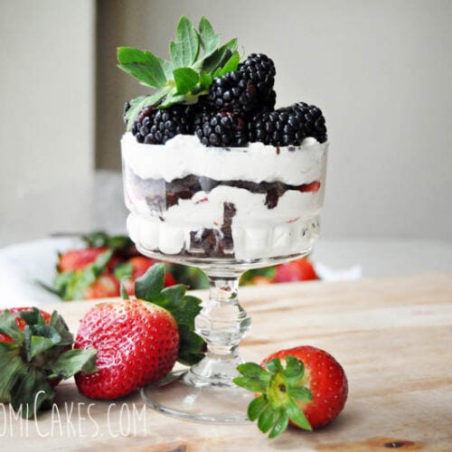 Miniature Cheesecake Trifles [Recipe & Tutorial] - NaomiCakes