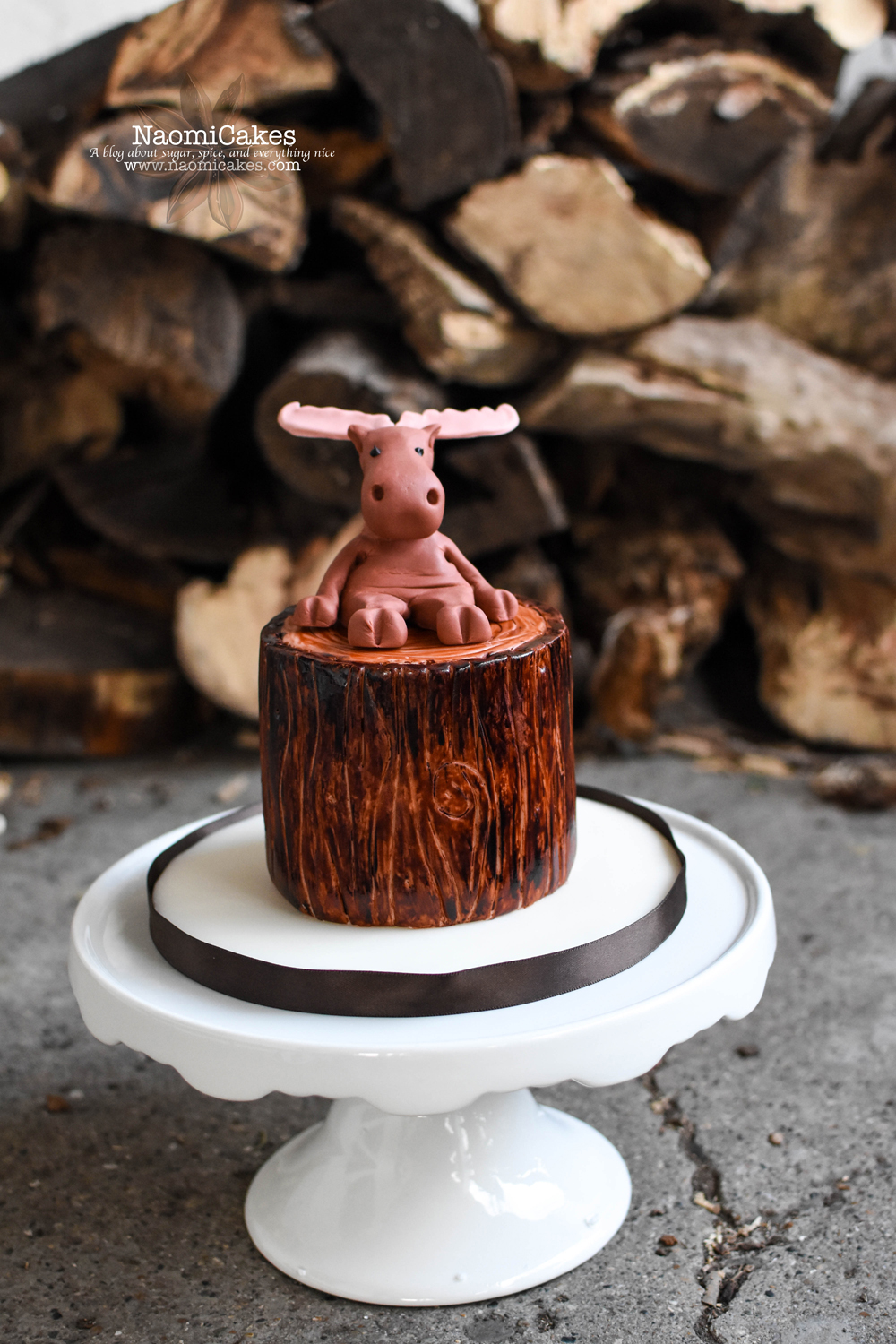 Canadian Moose Cake - NaomiCakes