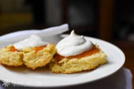 Devonshire Cream [Recipe] - NaomiCakes