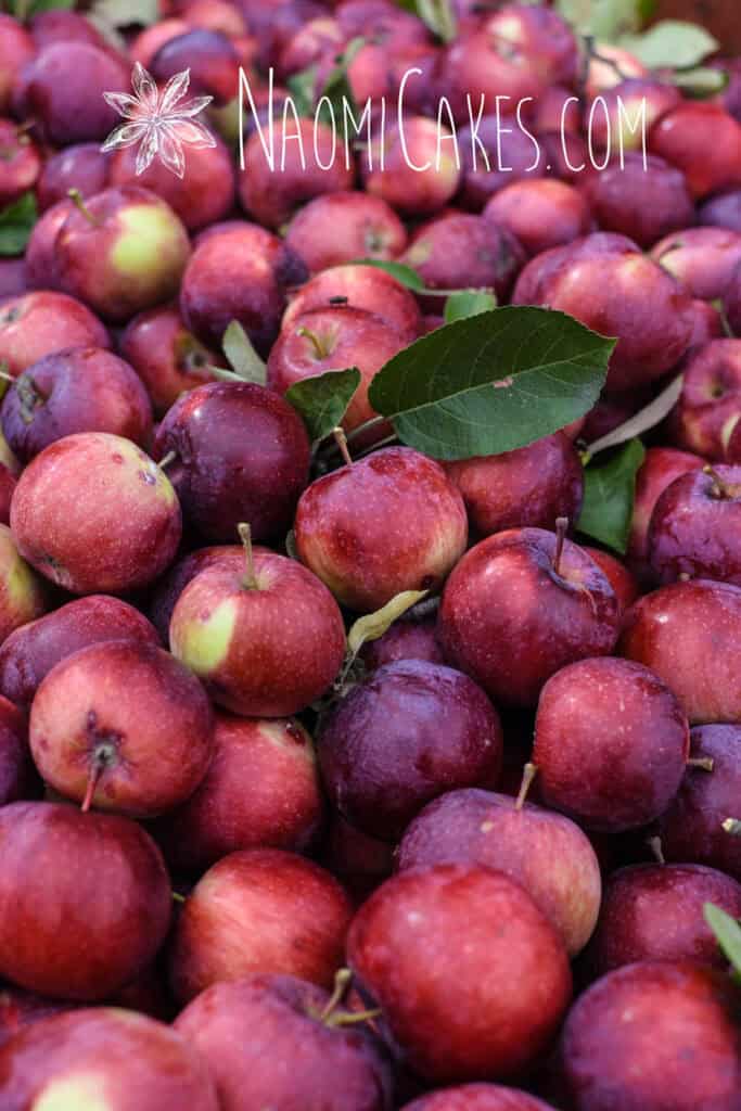 Freezing Apples for Baking and Cooking [Tutorial] - NaomiCakes