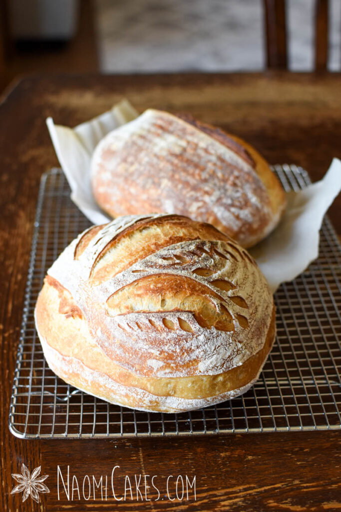 Easy No-Knead White Sourdough Bread [Recipe] - NaomiCakes