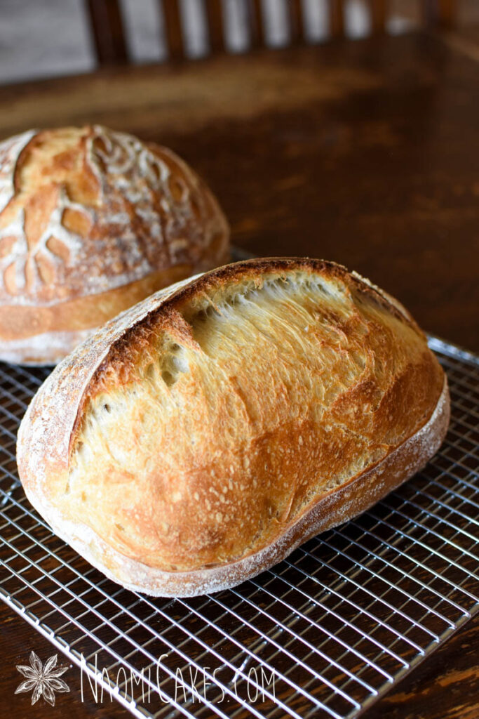 Easy No-Knead White Sourdough Bread [Recipe] - NaomiCakes
